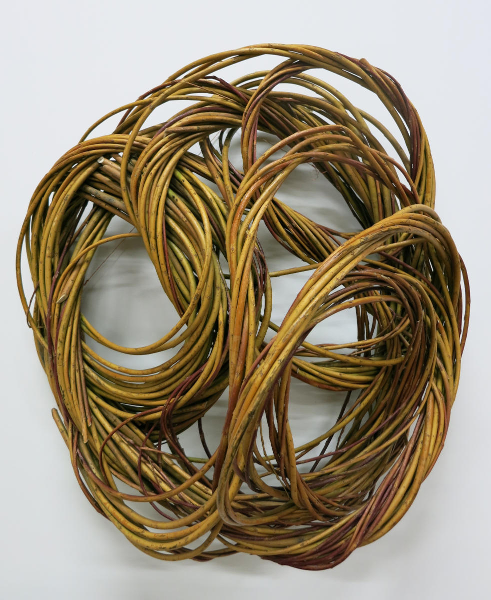 Rose Covert | National Basketry Organization